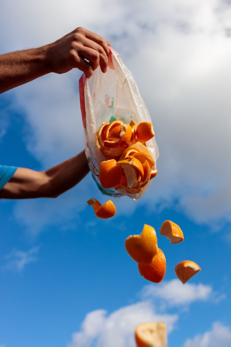 New Weekly Food Waste Collections – Wistow Parish Council